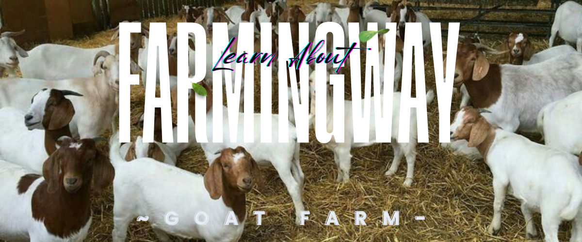 About - farmingway.in